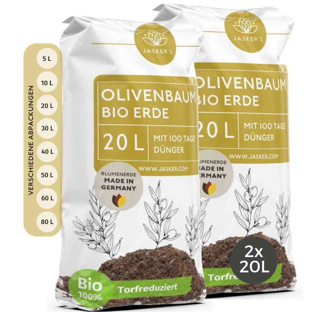Olivenbaum Erde 🪴 Die richtige Erde für mediterrane Pflanzen